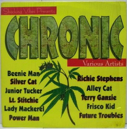 Chronic riddim Mix 1995 Feat Beenie Man,Silver Cat,Lady G,Lt Stitchie ...